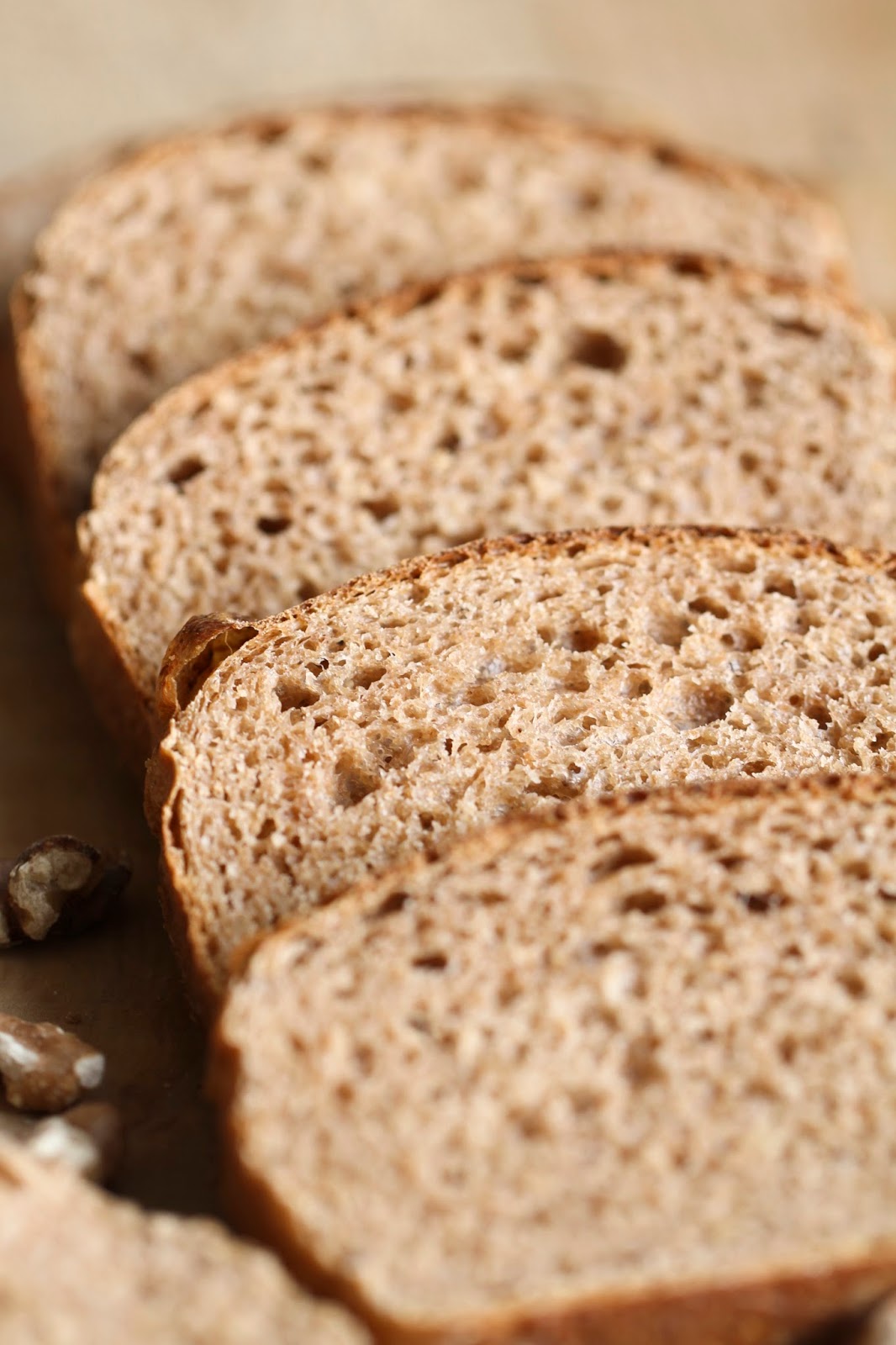 Belgian Beef Stew with Beer and Spice Bread - Ever Open Sauce