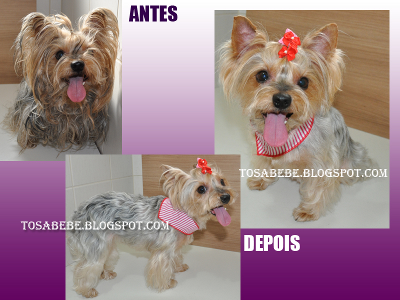 TOSA BEBÊ - TOSA VERÃO - TOSA TESOURA -TOSA PORTO ALEGRE: TOSA BEBÊ ...