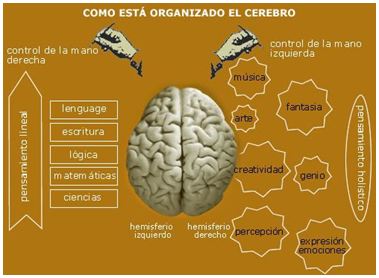 UNPRG - FACHSE - INICIAL: III UNIDAD, lectura 2 LA LATERALIZACIÓN