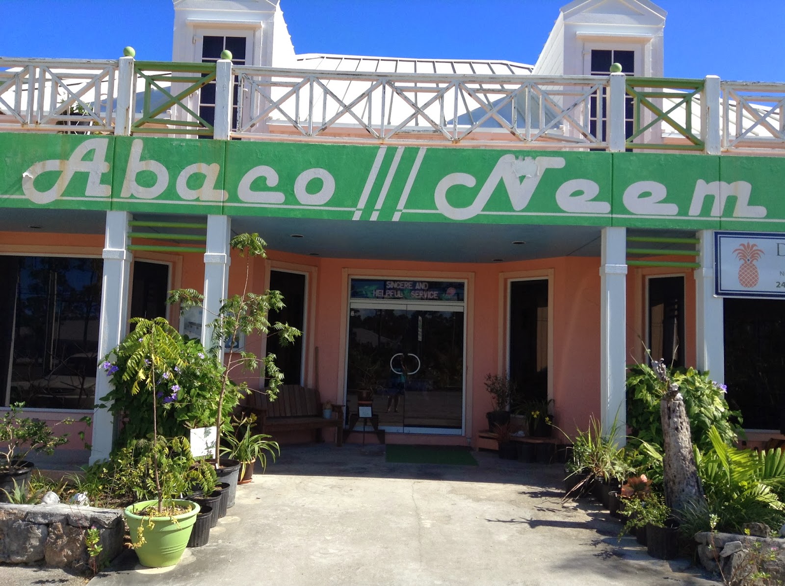 erin's faces: Abaco Neem - Touring a Neem Farm in The Bahamas