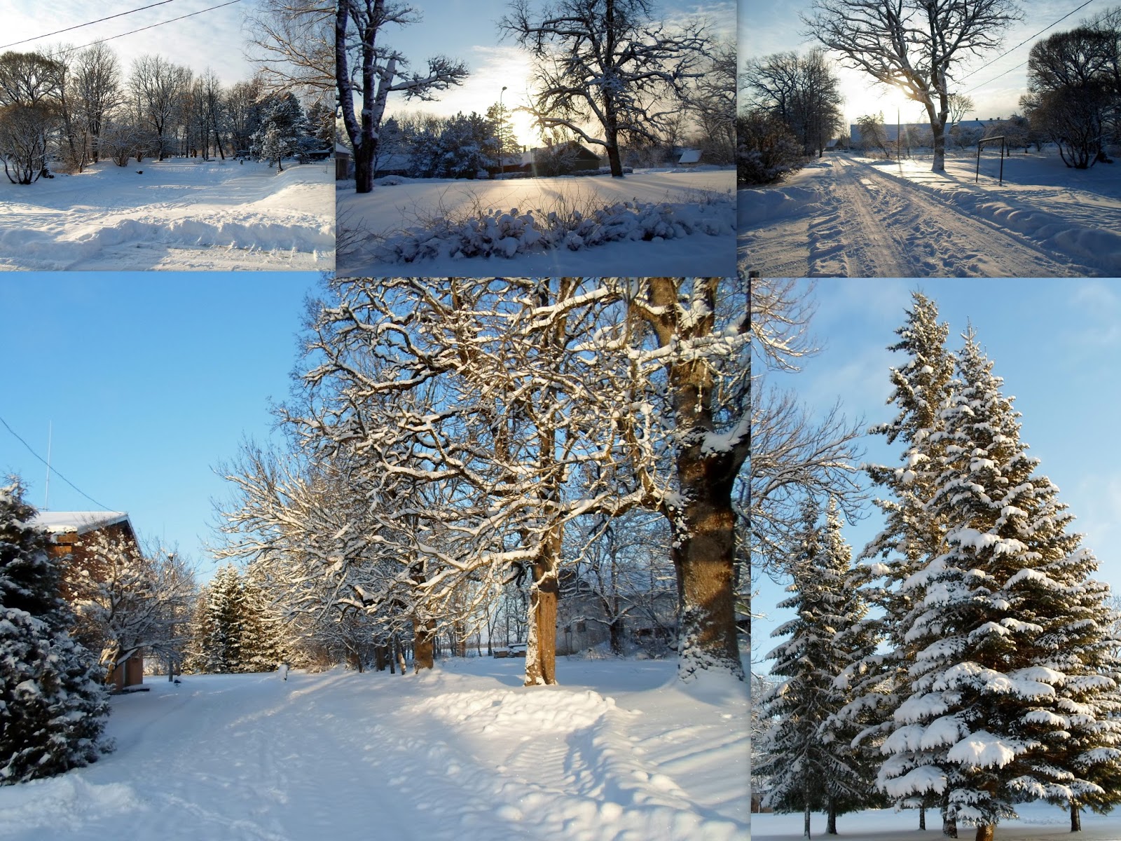 Raikküla Kultuurikeskus: TALV