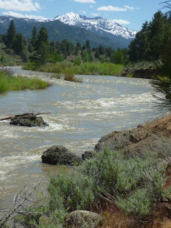 Trailing Ahead: From Curtz Lake down to the River: Carson River Trail