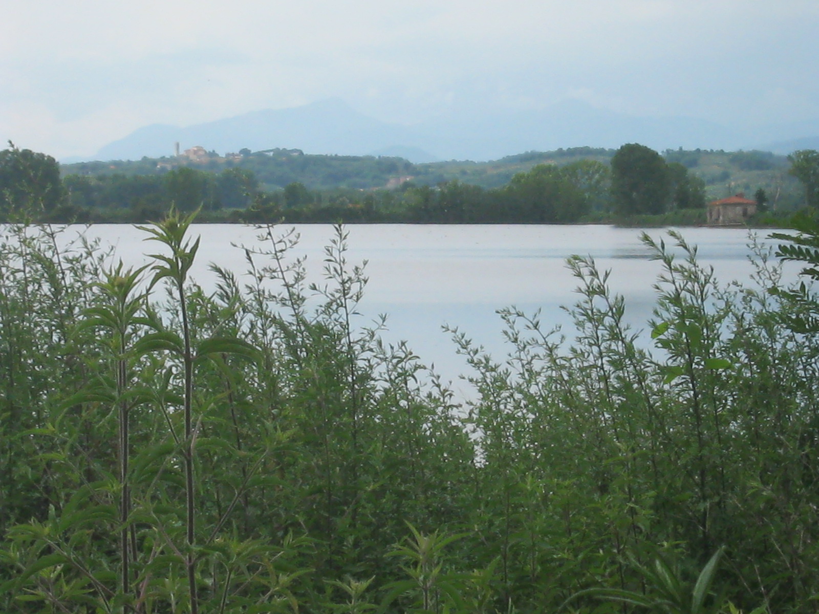 L'alba sulla collina: PADULE DI BIENTINA : fra natura e memoria