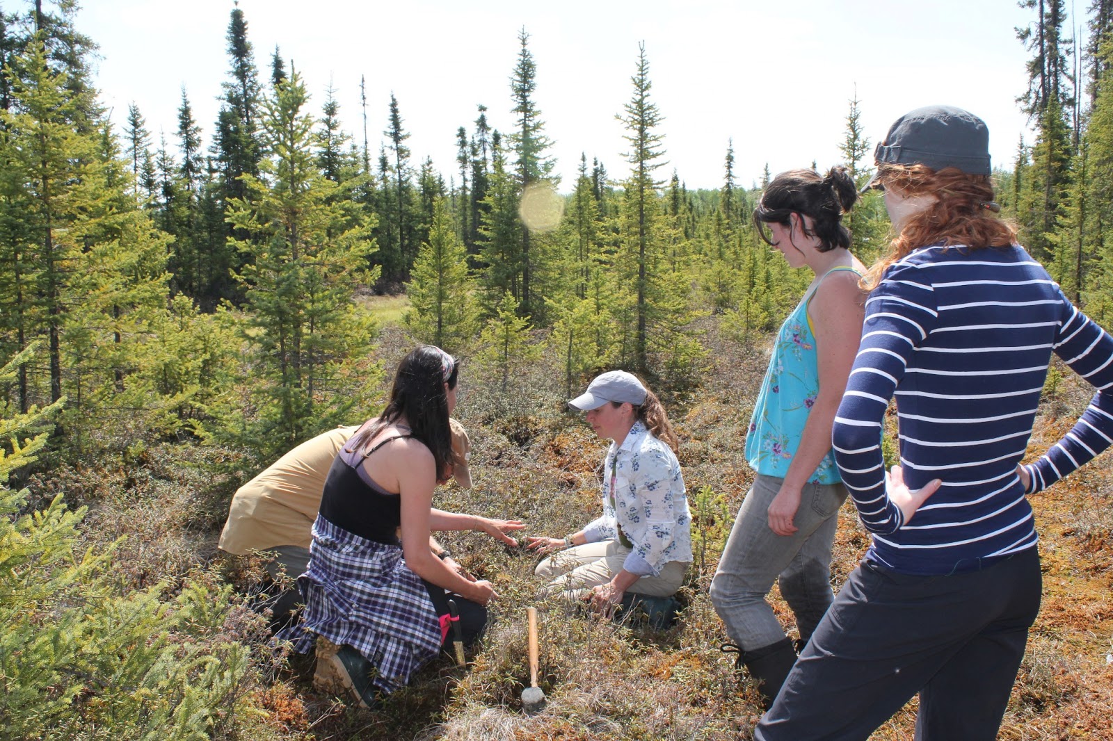 The 55th Parallel: Pictures 2012