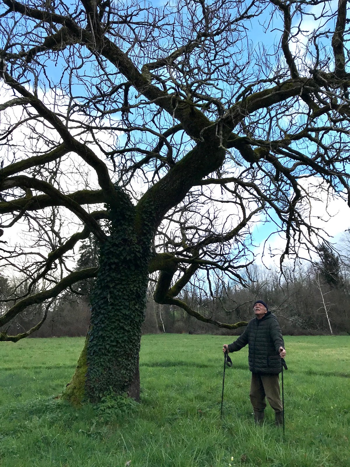 alain piot di massimo