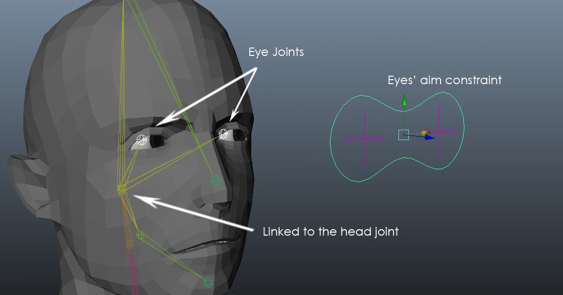 N S D Post 44 Maya Facial Rig Eyes