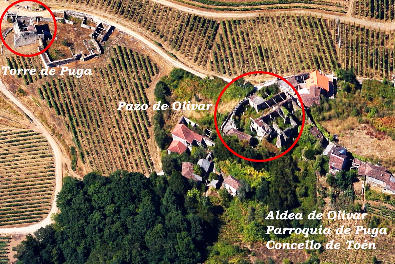 PUGA : un apellido toponímico: APELLIDO PUGA: ORIGEN Y TOPONIMIA