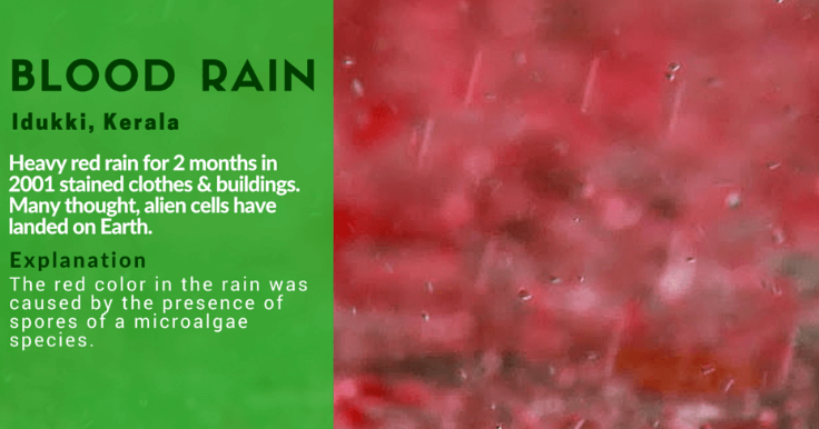 RED RAIN IN KERALA | Amazing Facts and mysteries