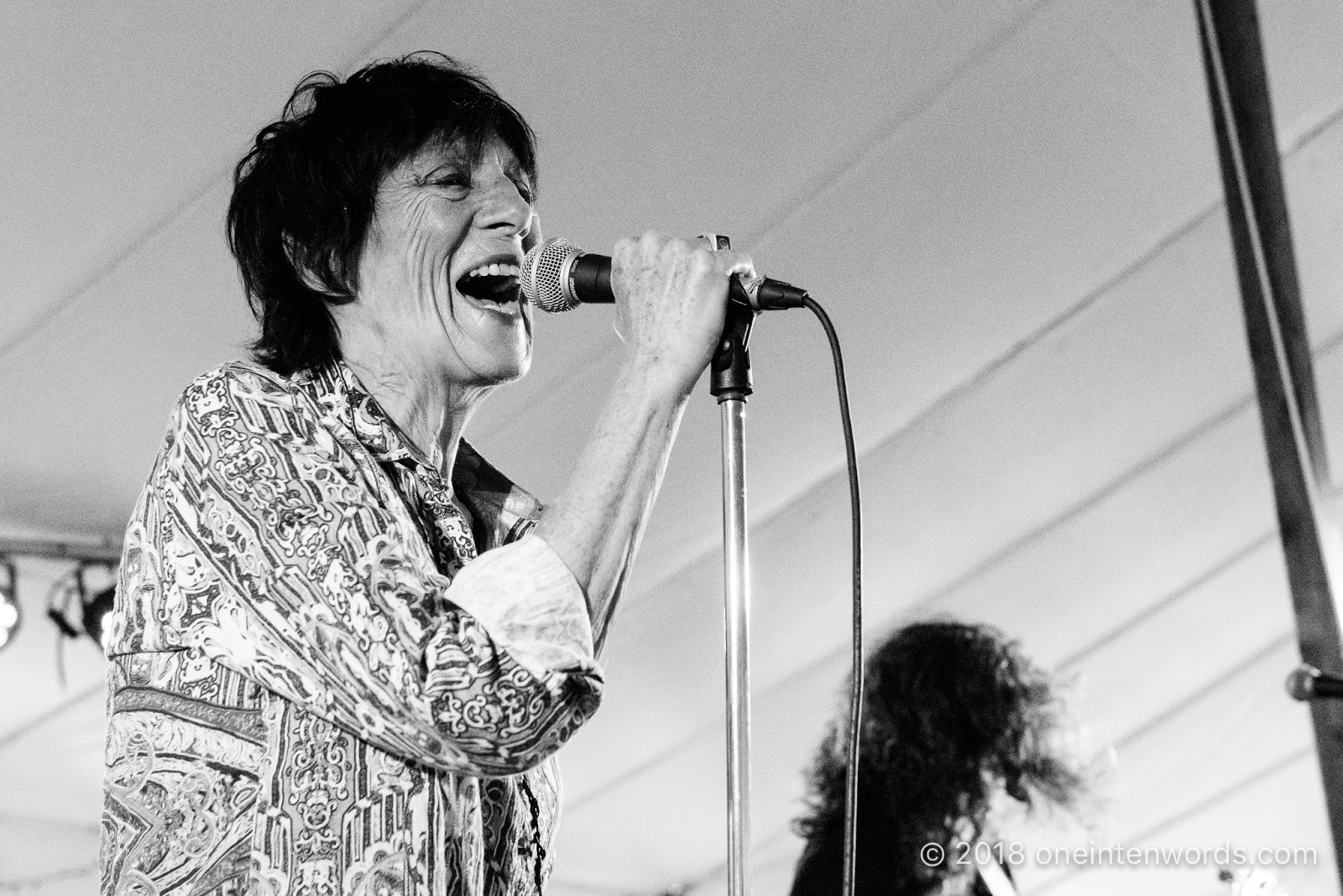 one in ten words: Riverfest Elora 2018: Day 3: Carole Pope (Rough Trade ...