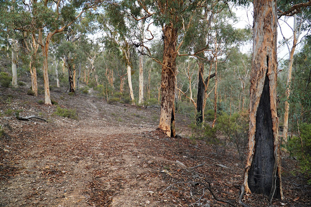 Clackline Walk GPS Route (Clackline Nature Reserve) ~ The Long Way's Better