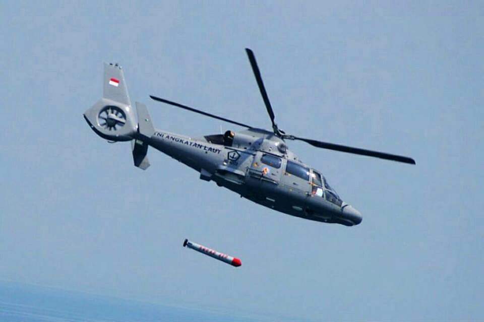Indonesian Navy to receive new naval helicopters and maritime patrol aircraft from PTDI - Asia ...