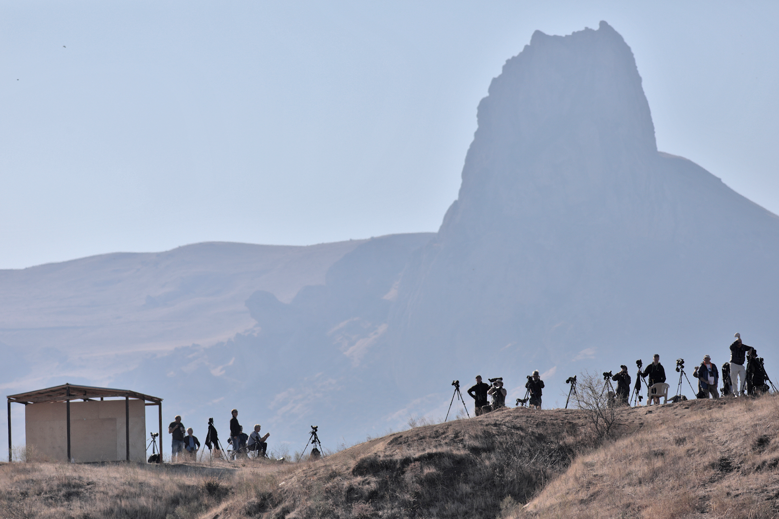 Birding Azerbaijan: Late October / early November impressions by ...