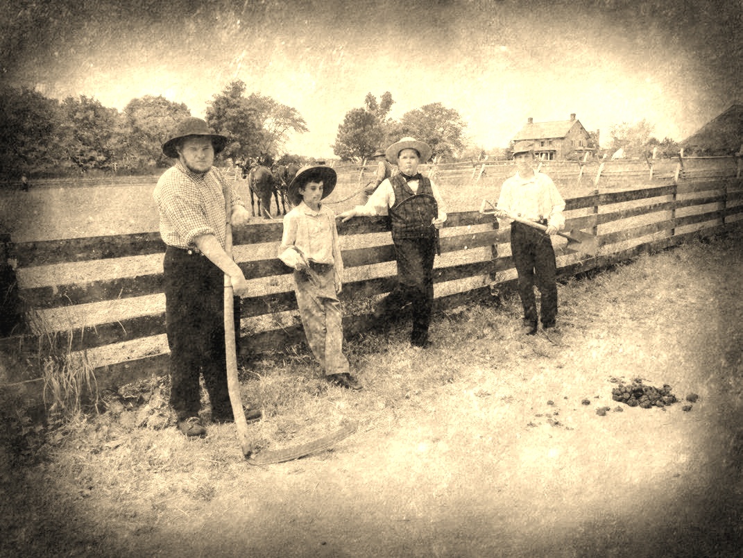 Passion for the Past: The Summer of our Ancestors: From Farm Life to ...