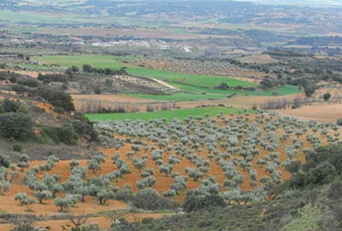 EL DESVAN DE MIS LIBROS: La Alcarria Conquense
