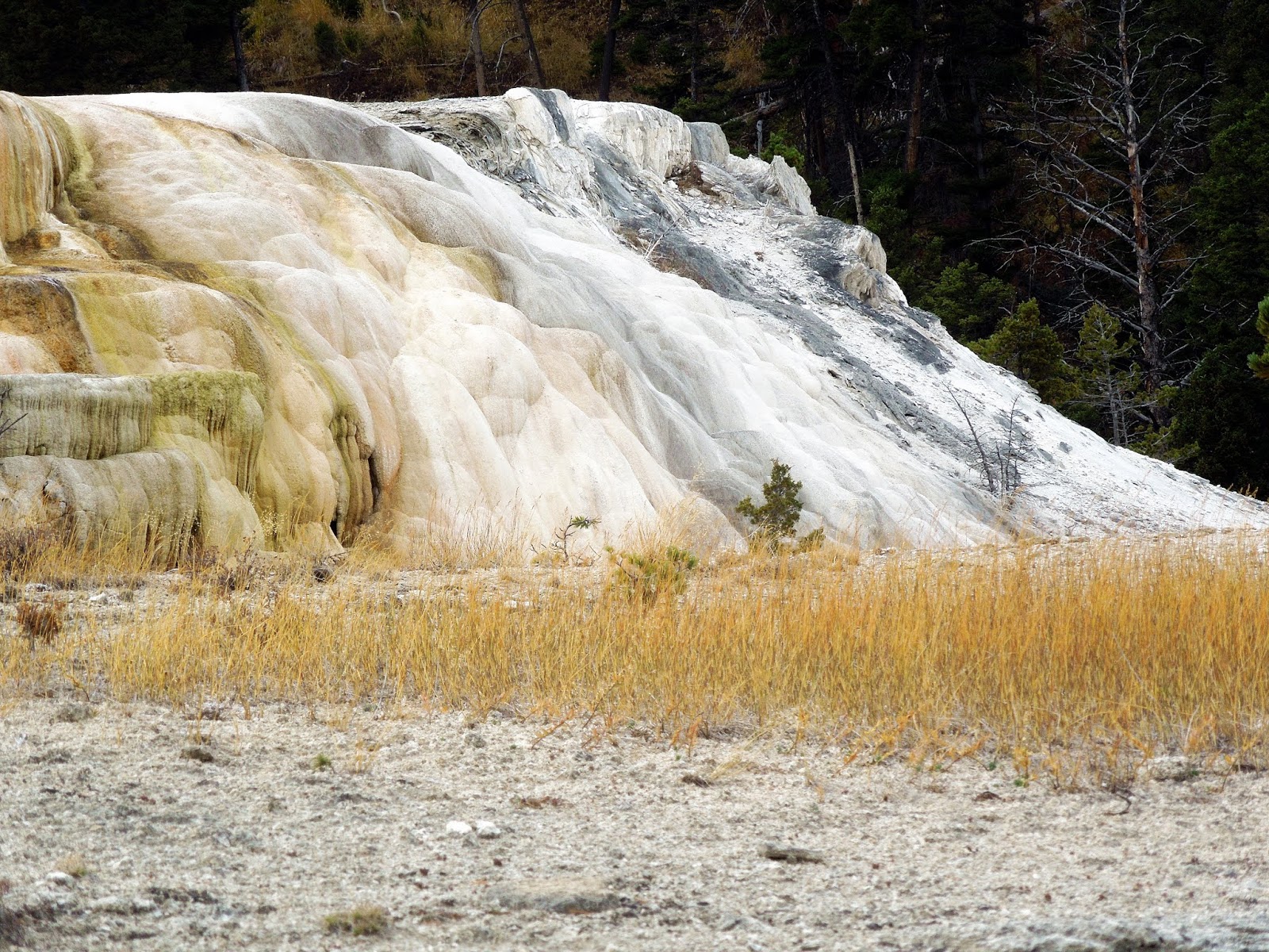 Focusing On Travel : Yellowstone: Mammoth Hot Springs are Really Cool ...