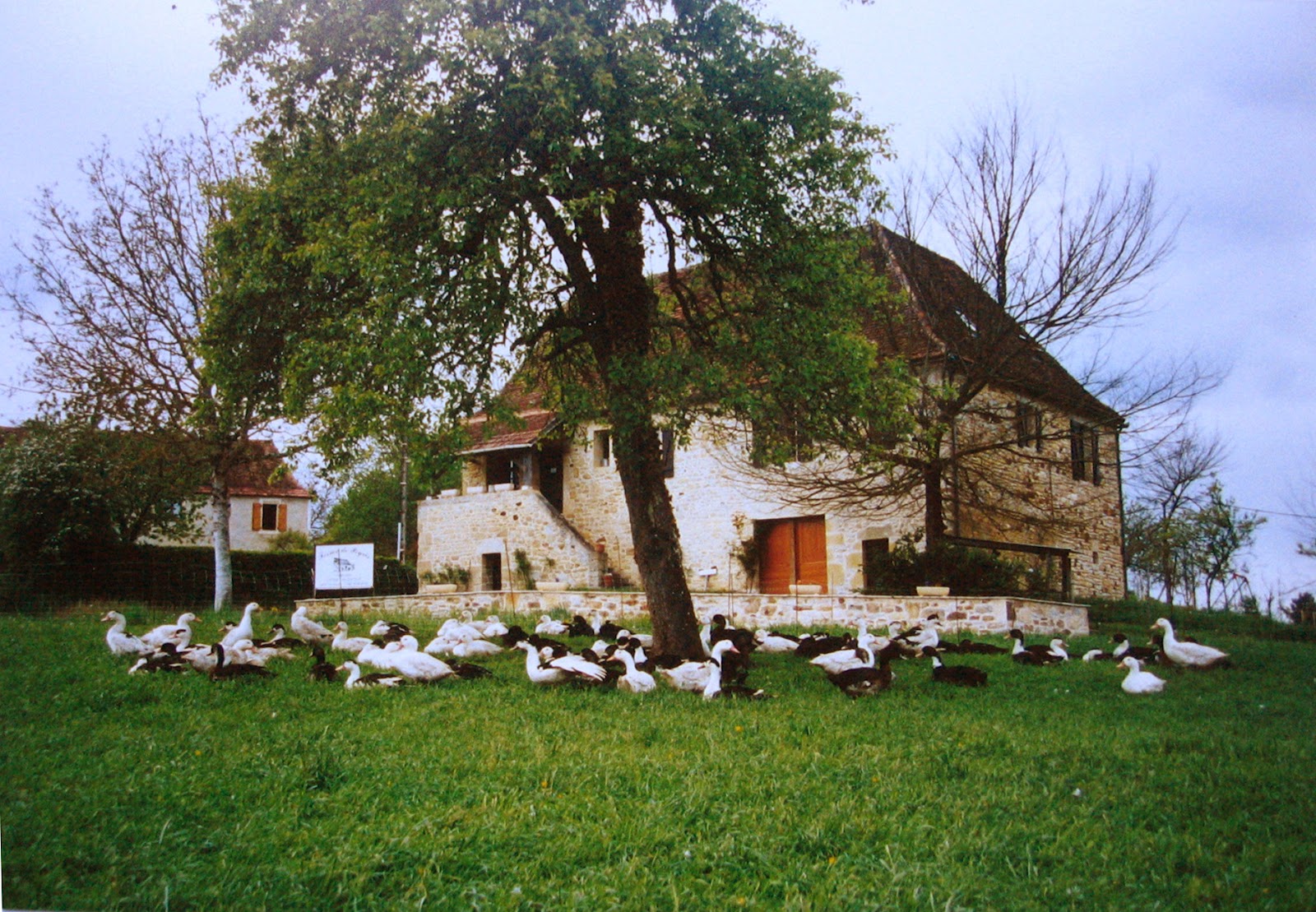 Ferme de Peyrès: Notre petite ferme