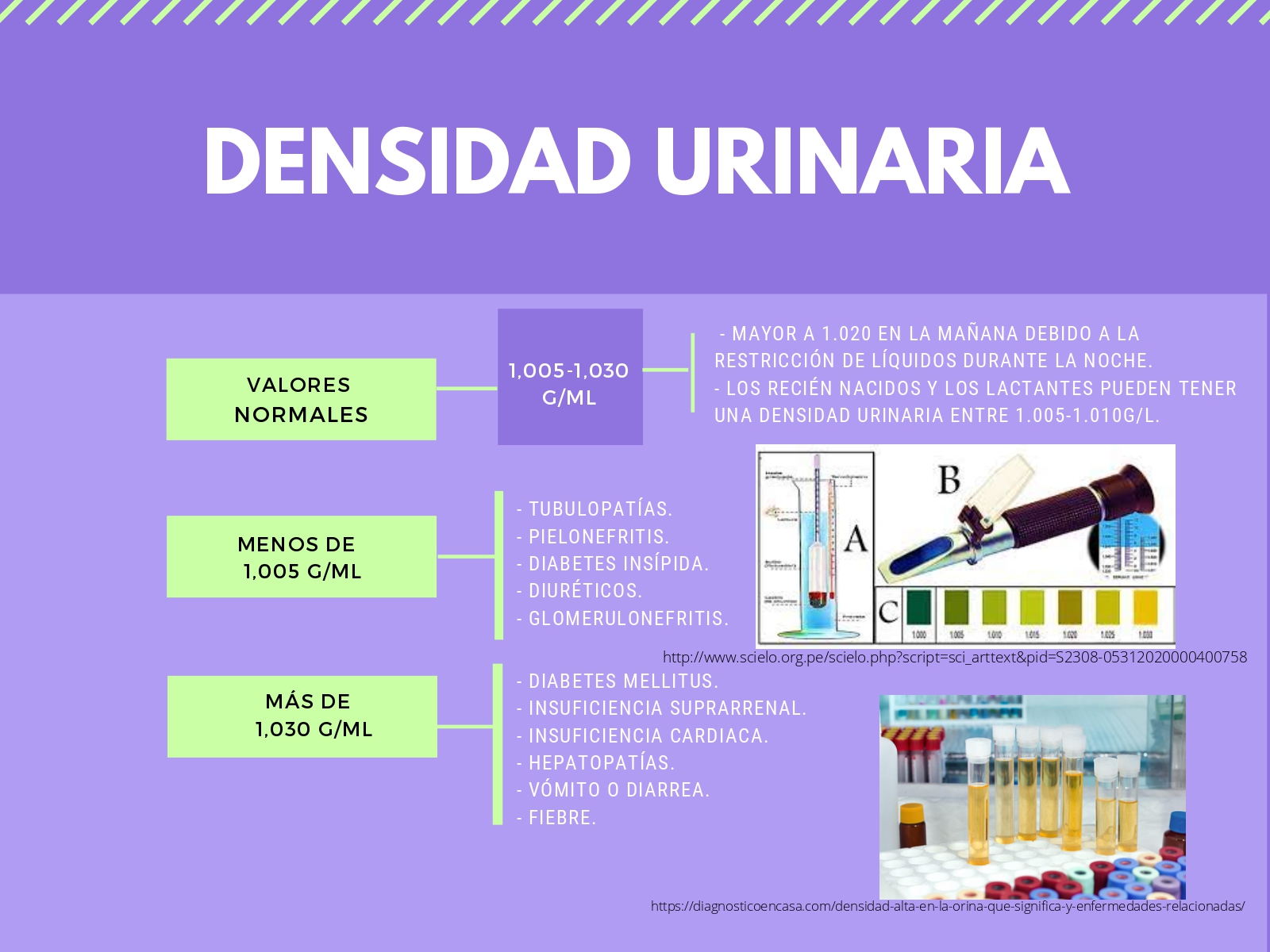 Gabriela Granja Fisiología II (Portafolio Académico): DENSIDAD URINARIA