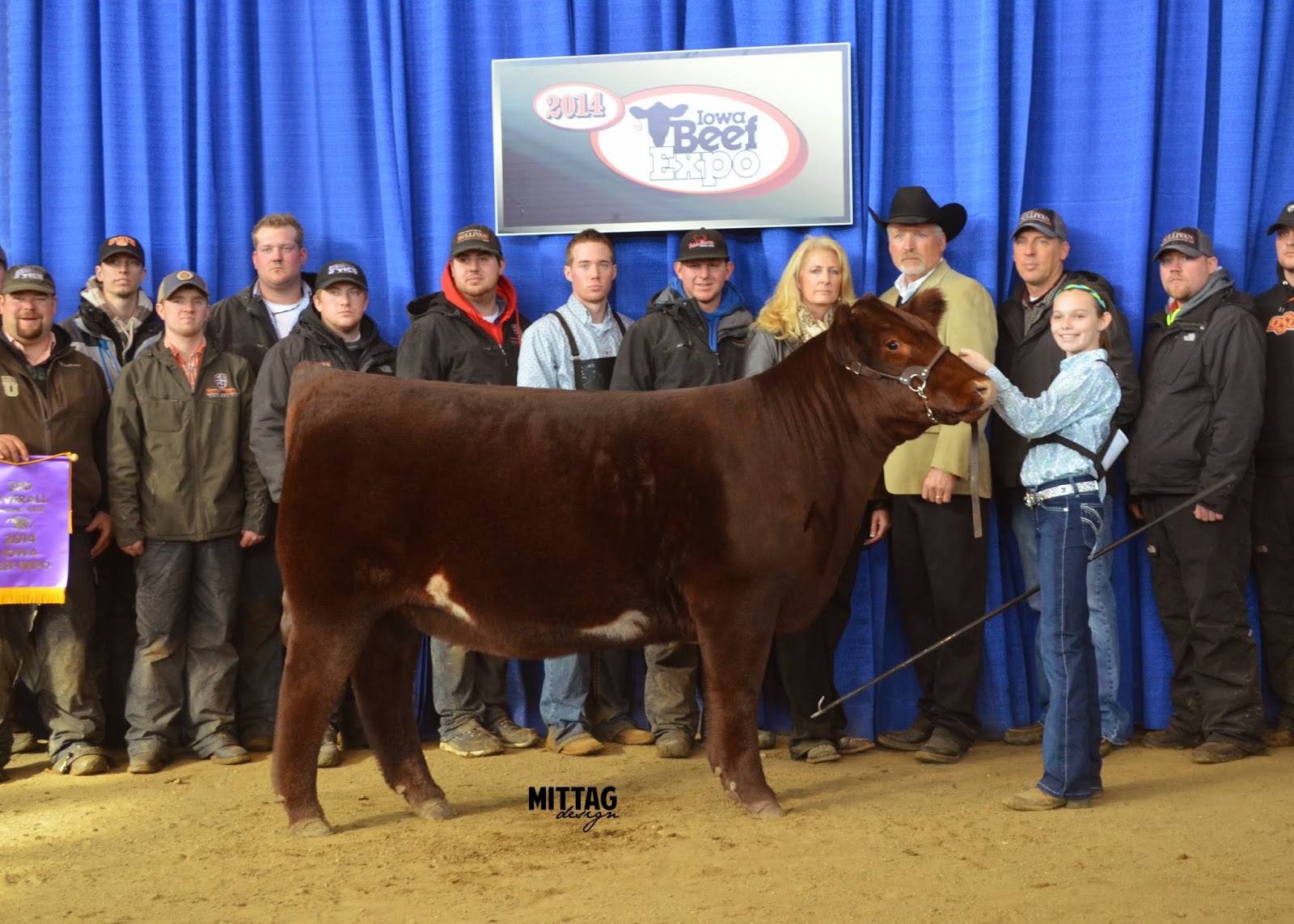 MITTAG Blog: IOWA BEEF EXPO TOP 5 BREEDING HEIFERS