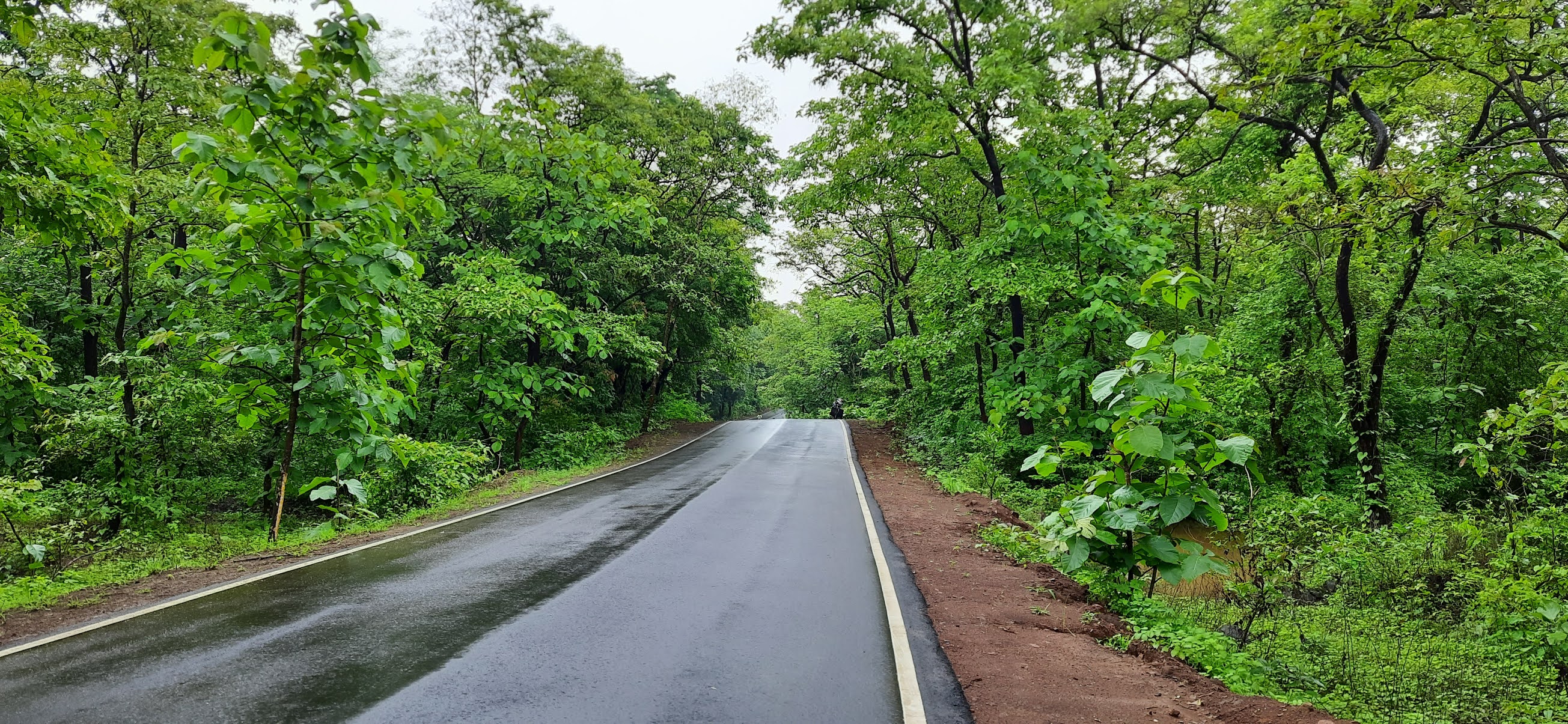 Sharad Pandhare's Educational Blog: Incredible Nature