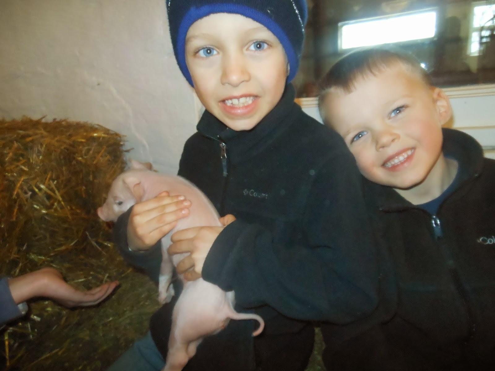 The Risler F*A*M*I*L*Y