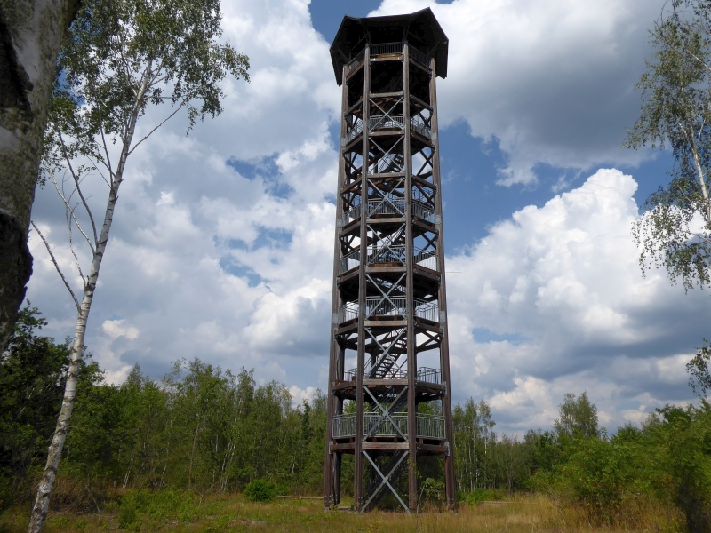 Naturwunder ...: Der Aussichtsturm auf dem Haselberg in der ...