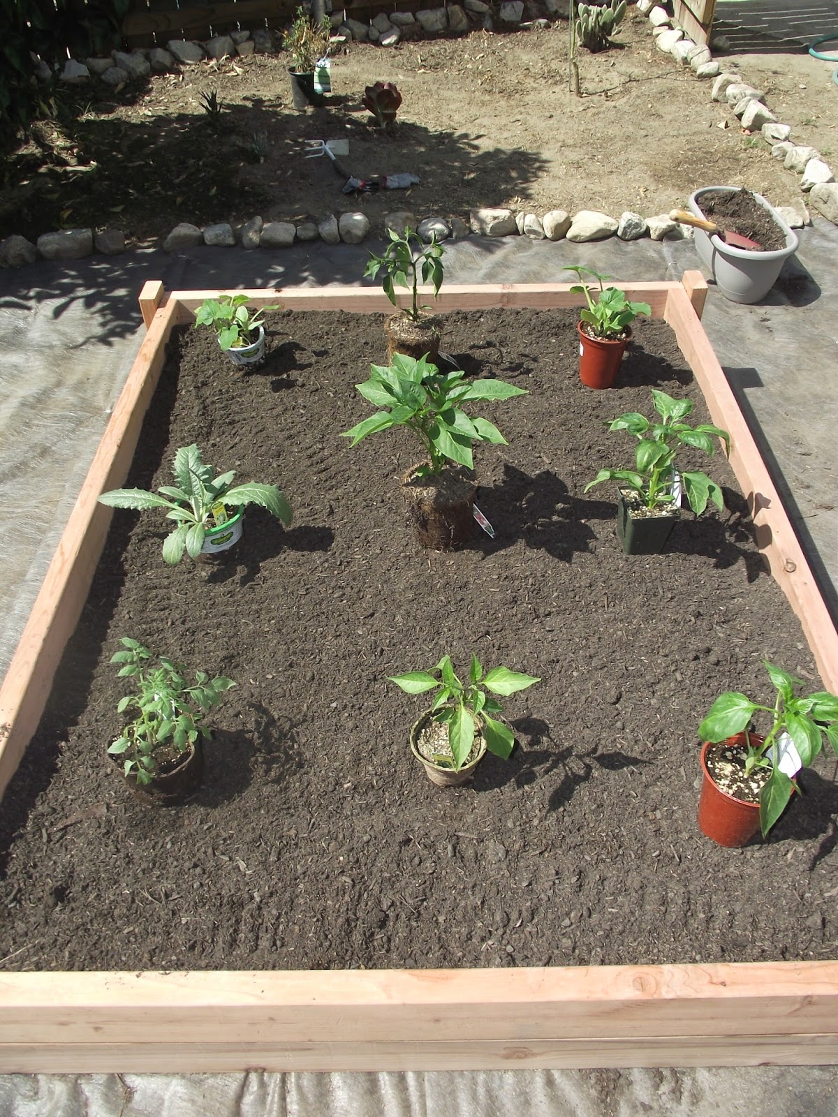 the little of things: Vegetable Garden Project