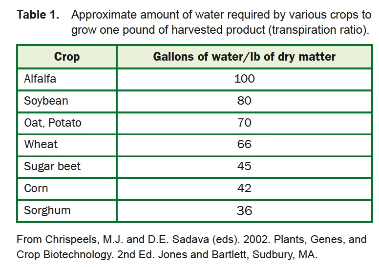 Managing Plant Nutrients What About The Water managing-plant-nutrients-what-about-the-water
