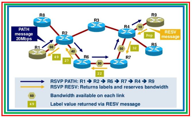 MPLS TE: RSVP Resource Reservation Protocol - The Network DNA