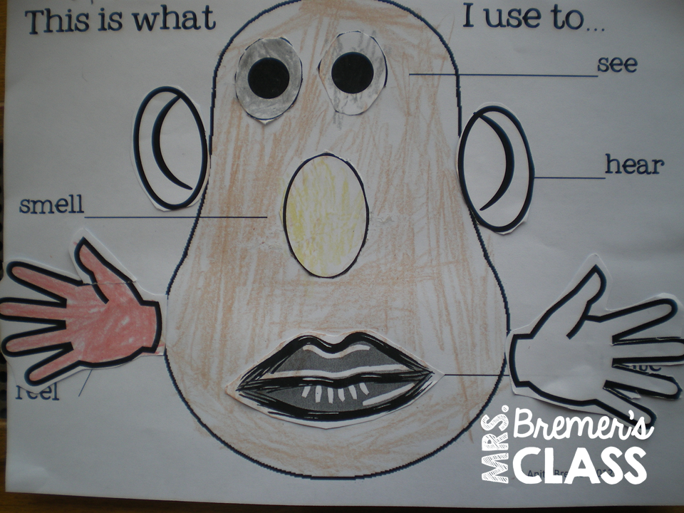 Five Senses Activities for Kindergarten {featuring Mr. Potato Head ...