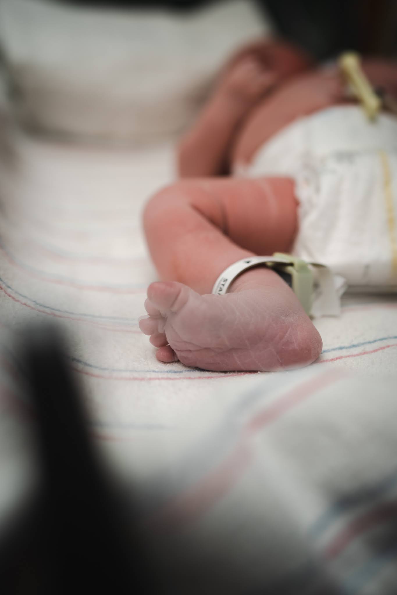 The One Where I Almost Caught a Baby | Sue's News