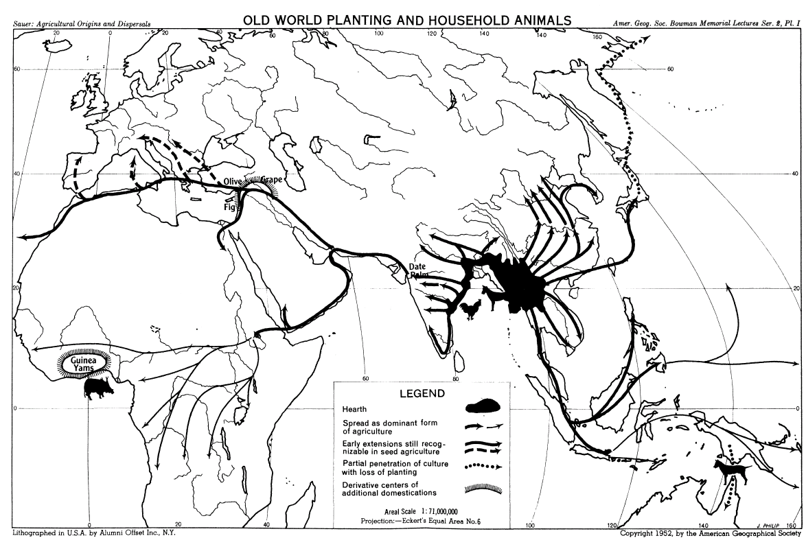 Sauer Definition English at Charlie Oshanassy blog