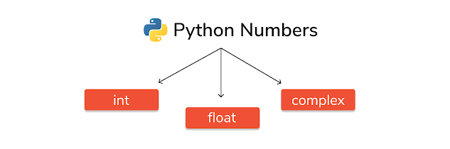 Complex Numbers Numbersdata Types Python Programming Language丨