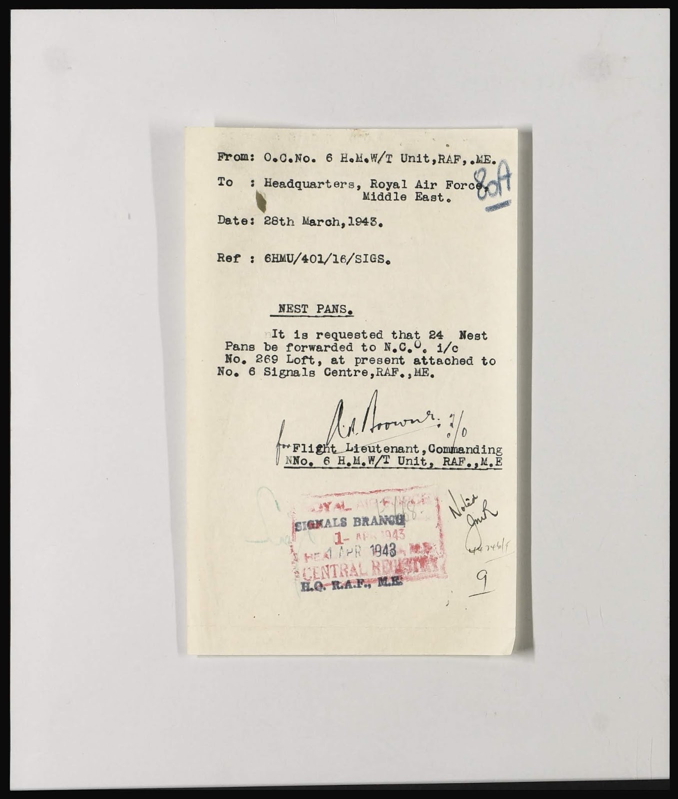 World War 2 History and the WW2 Pigeons: Have the pigeons arrived ...