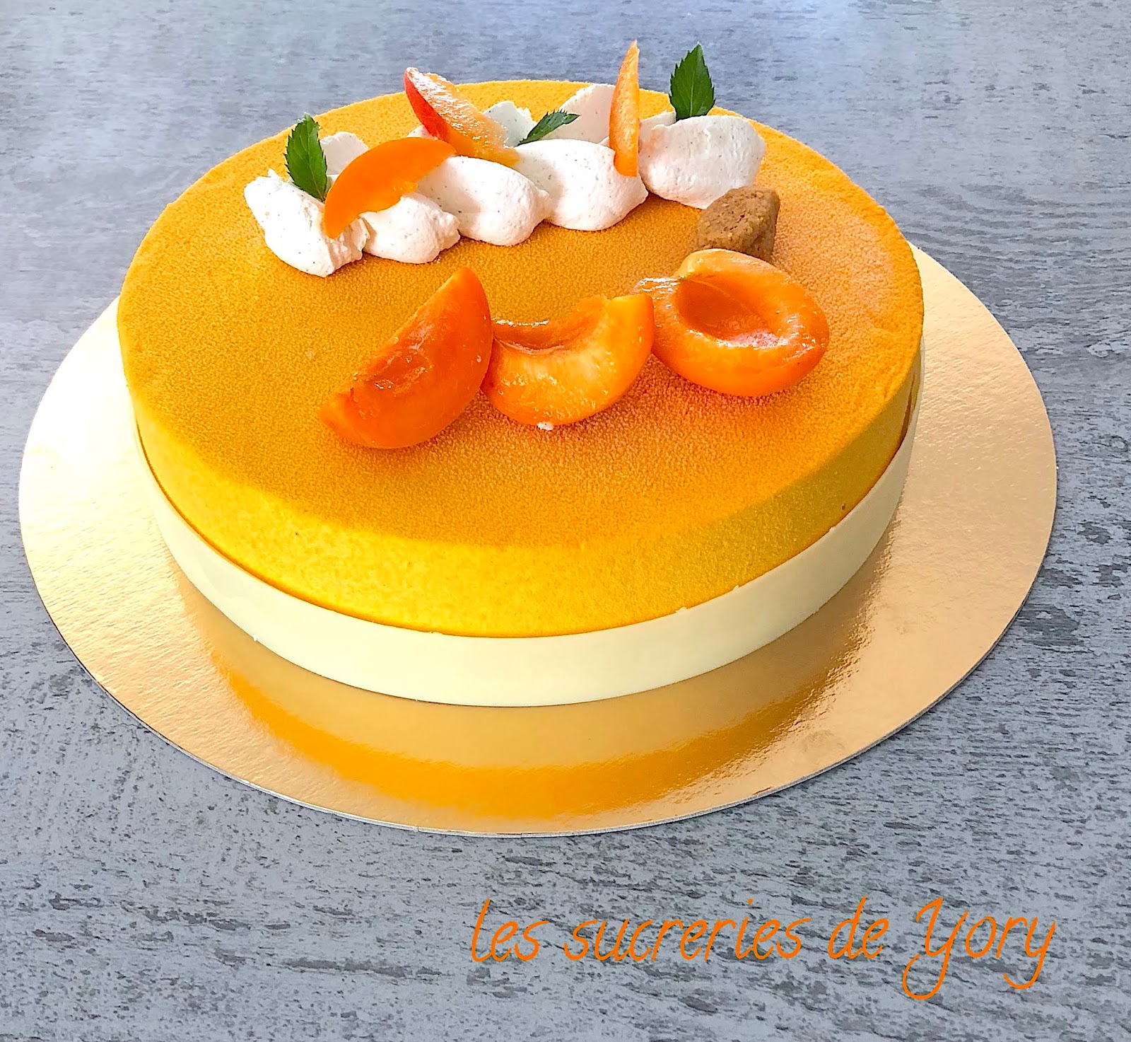 Entremets Chocolat Blanc-Abricots