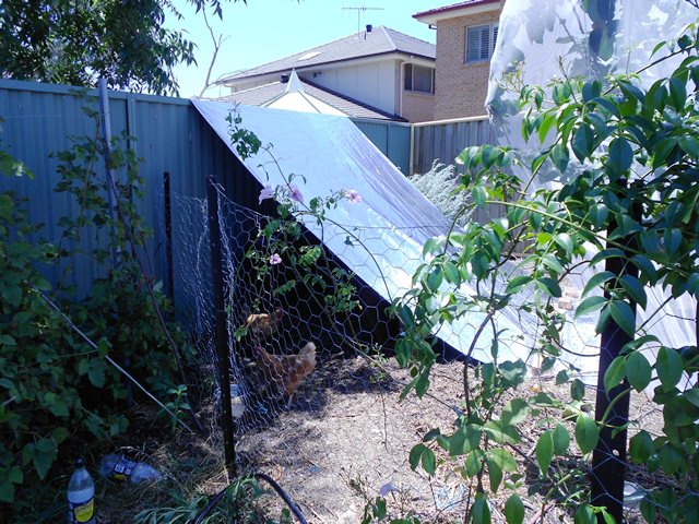 making many things with hands: Shade for chickens