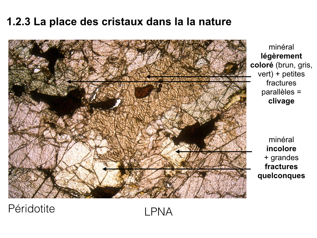 svtOlycée: La péridotite : la roche du manteau terrestre