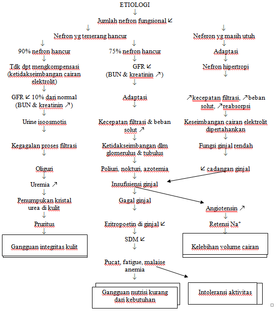 Pathway Gagal Ginjal Kronik - Pathway Patofisiologi