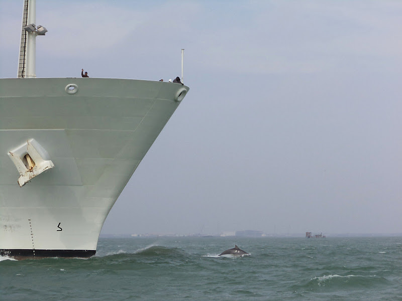 Things we did today...: BYC Frostbite Cruise 2012