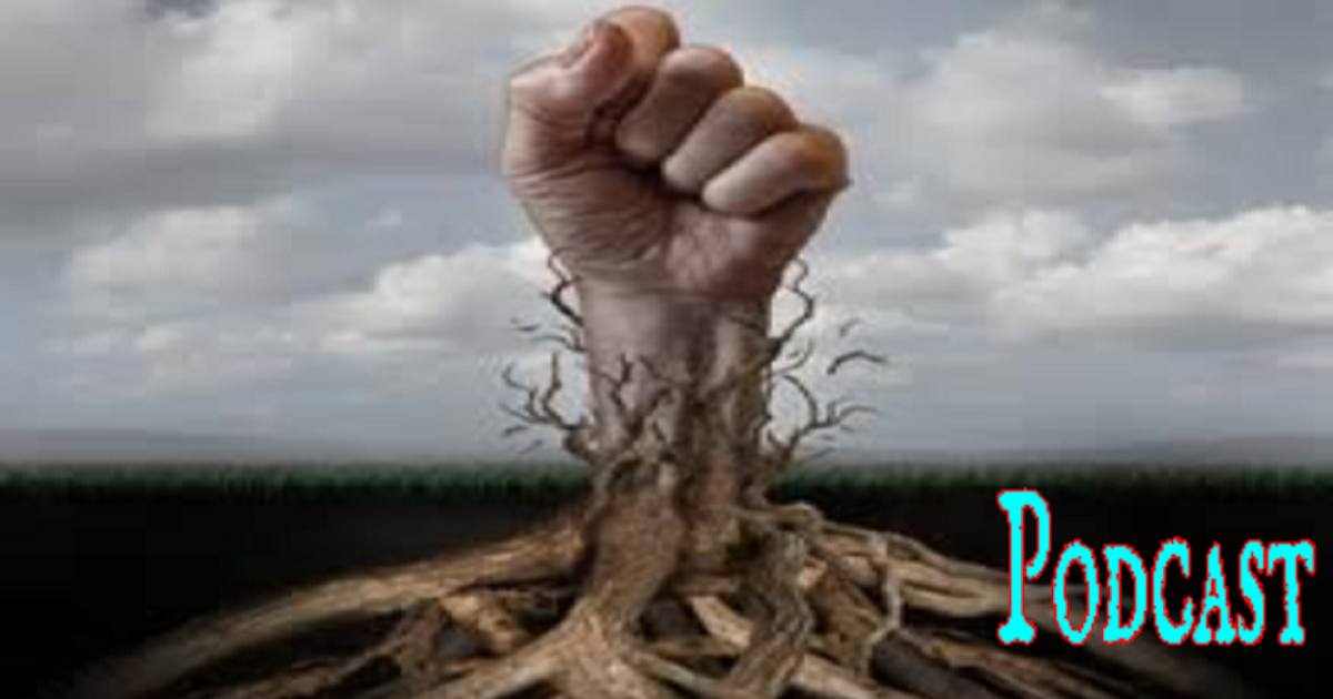 Conrad Rocks!: Plucking up the Root of Bitterness