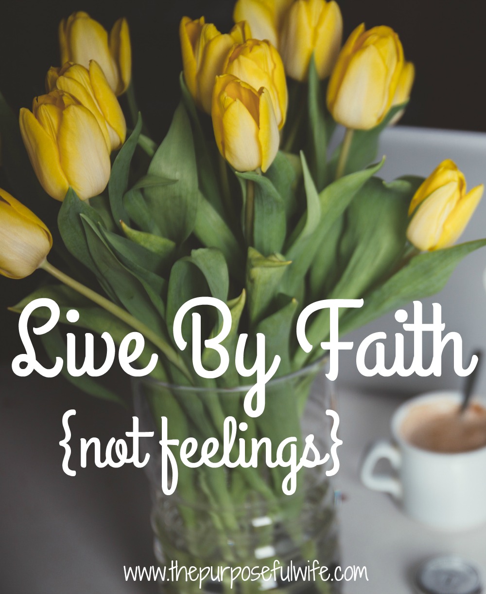 "but the righteous shall live by his faith." Habakuk 2:4 b