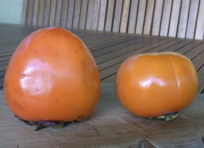 Garden amateur: Inconvenience foods