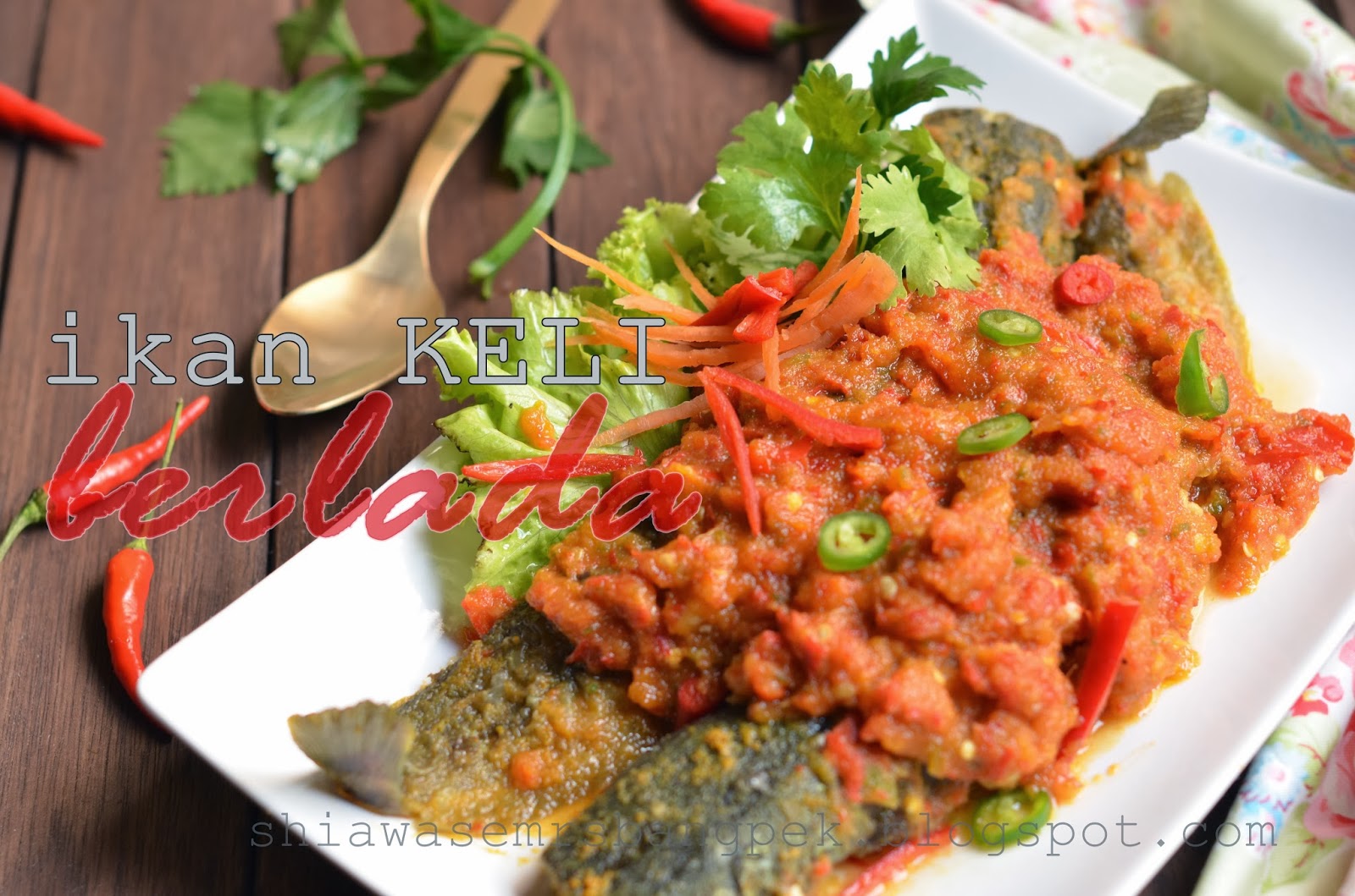 :: ShiawaseMrsBangpek::: Ikan Keli Berlada...ke Berlado?