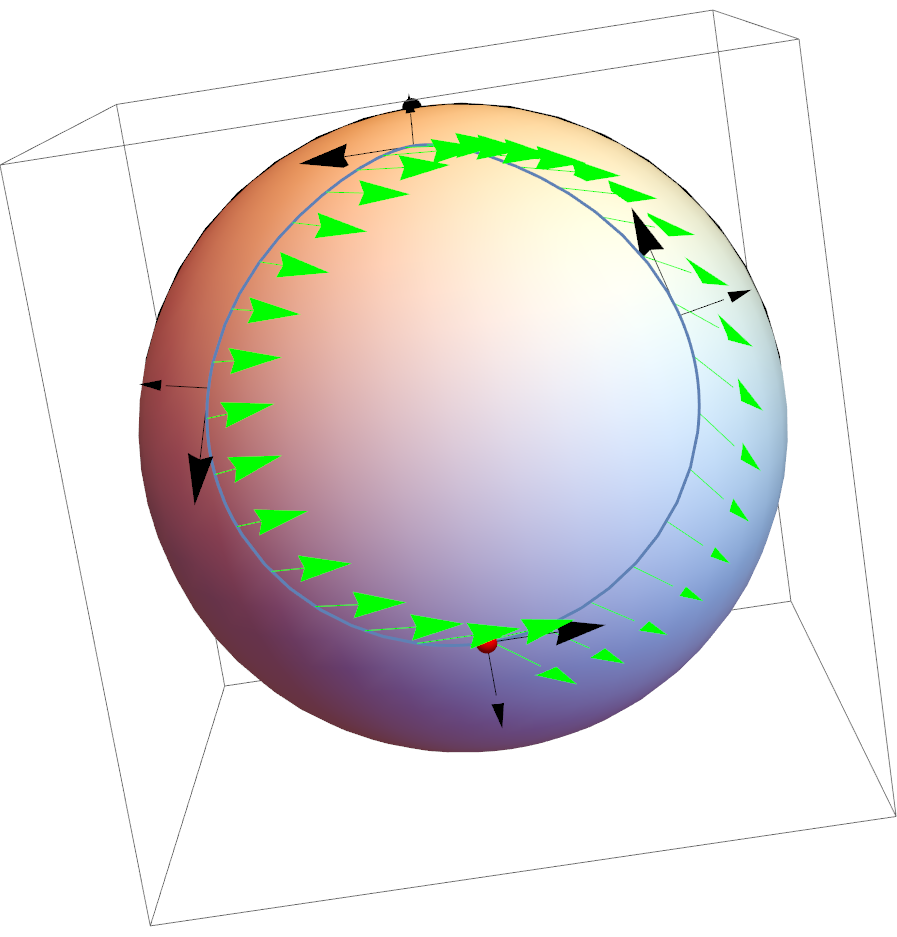 Parallel Transport Vector Bundle