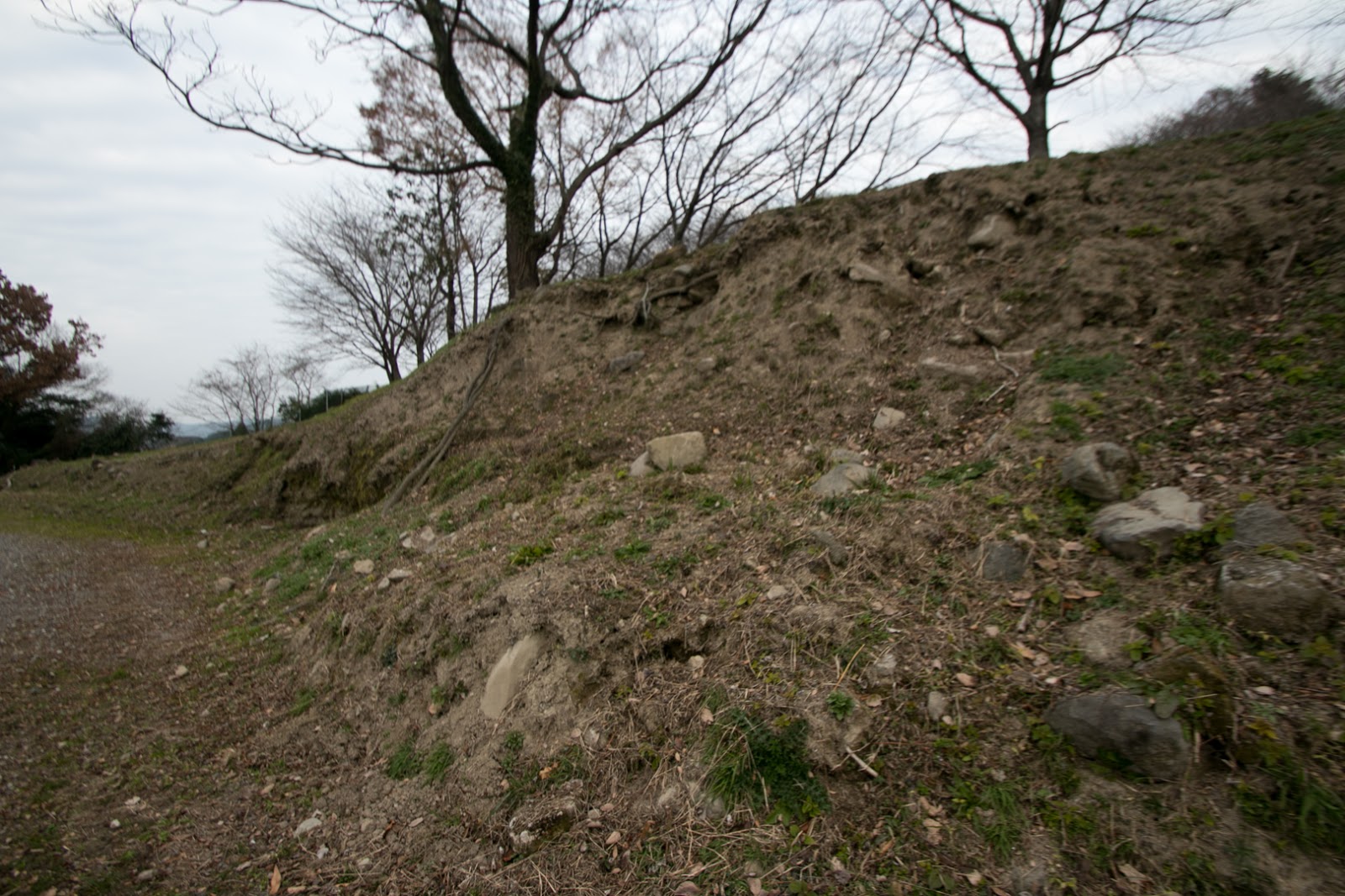 Hinoe Castle -Majestic castle of pious Christian lord- | Ken's Storage ...