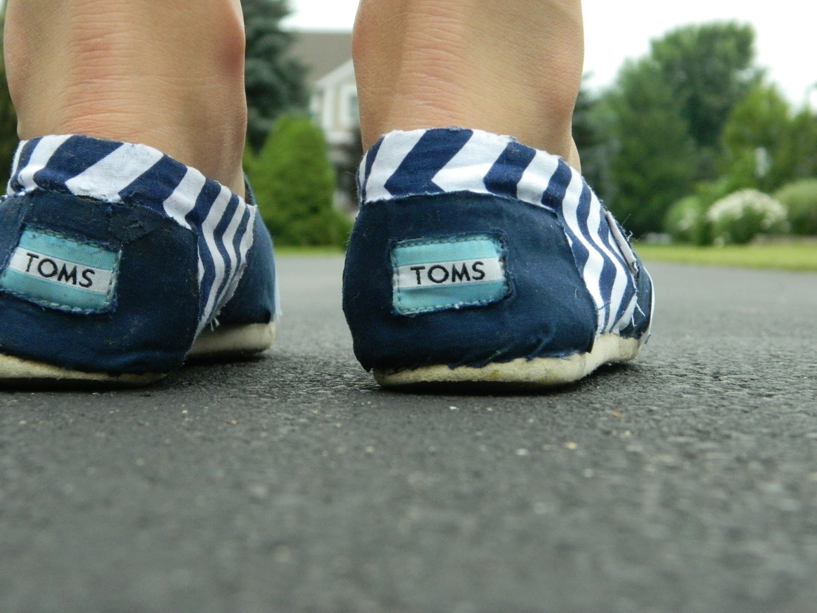 The Itsy Bitsy Baker: Awesome D.I.Y! : Upgraded TOMS!