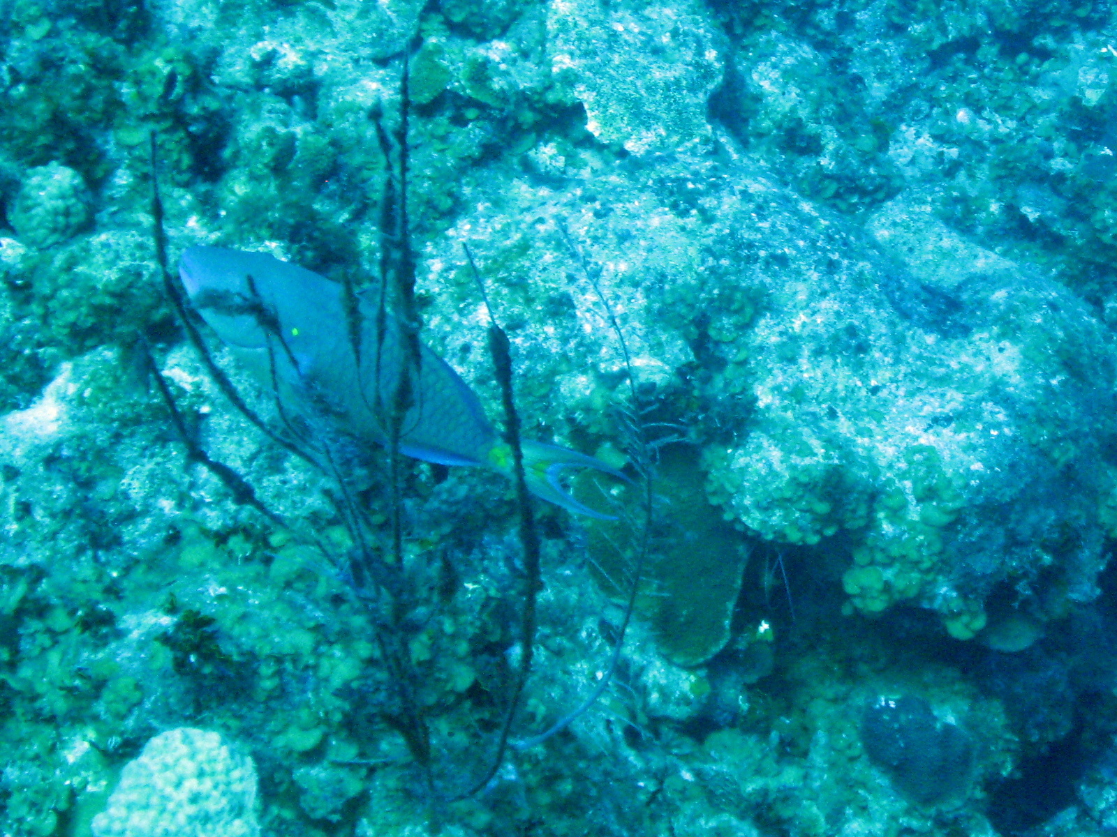 The Shekel - Coins, Law, and Commentary: Vacation 2013 - Disney Cruise ...