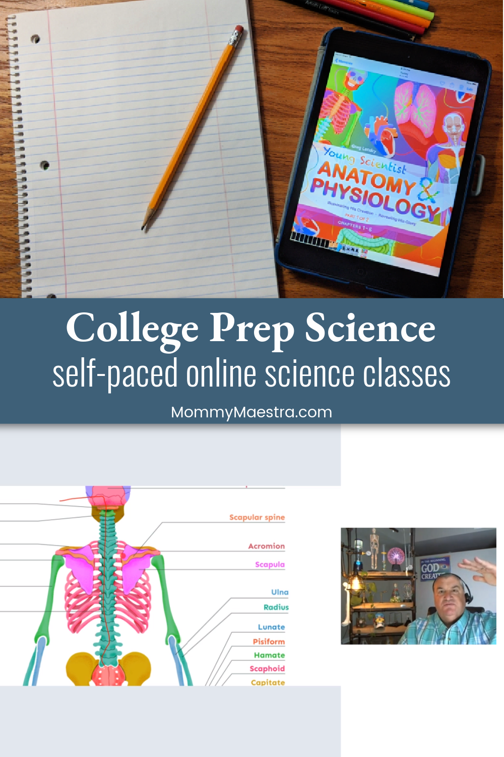 Mommy Maestra: Self-Paced Online Science Classes