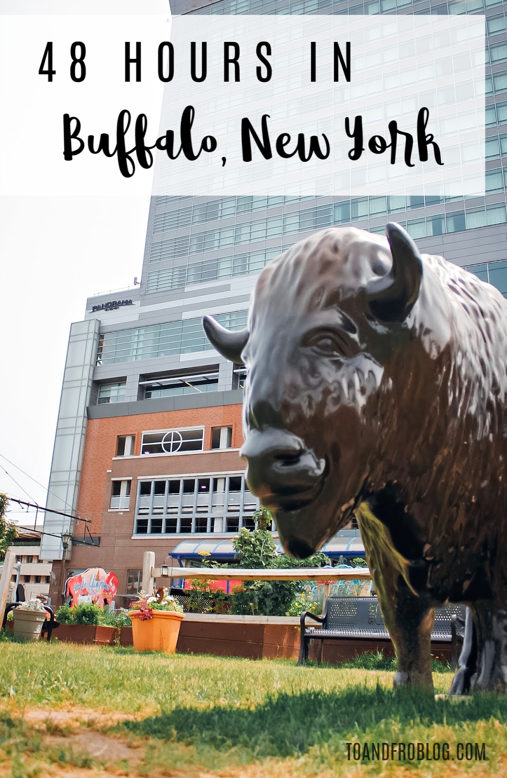 48 Hours of Family-Friendly Fun in Buffalo, New York | To & Fro