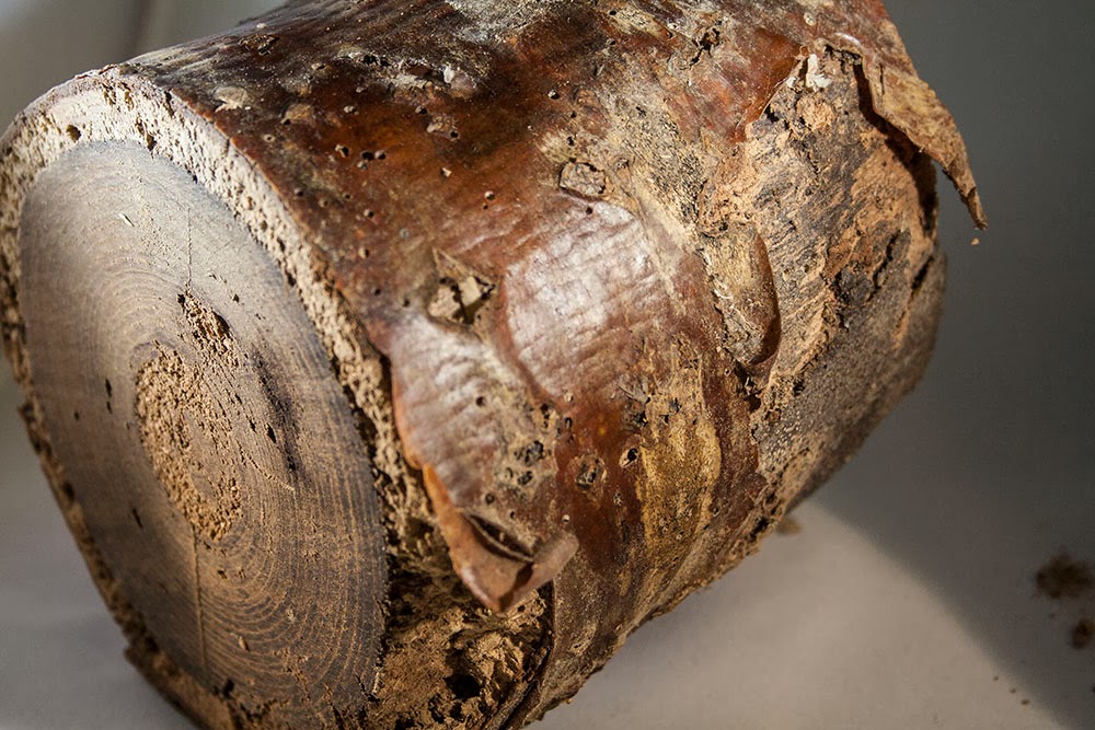 Wood ID? | Page 3 | UK Workshop