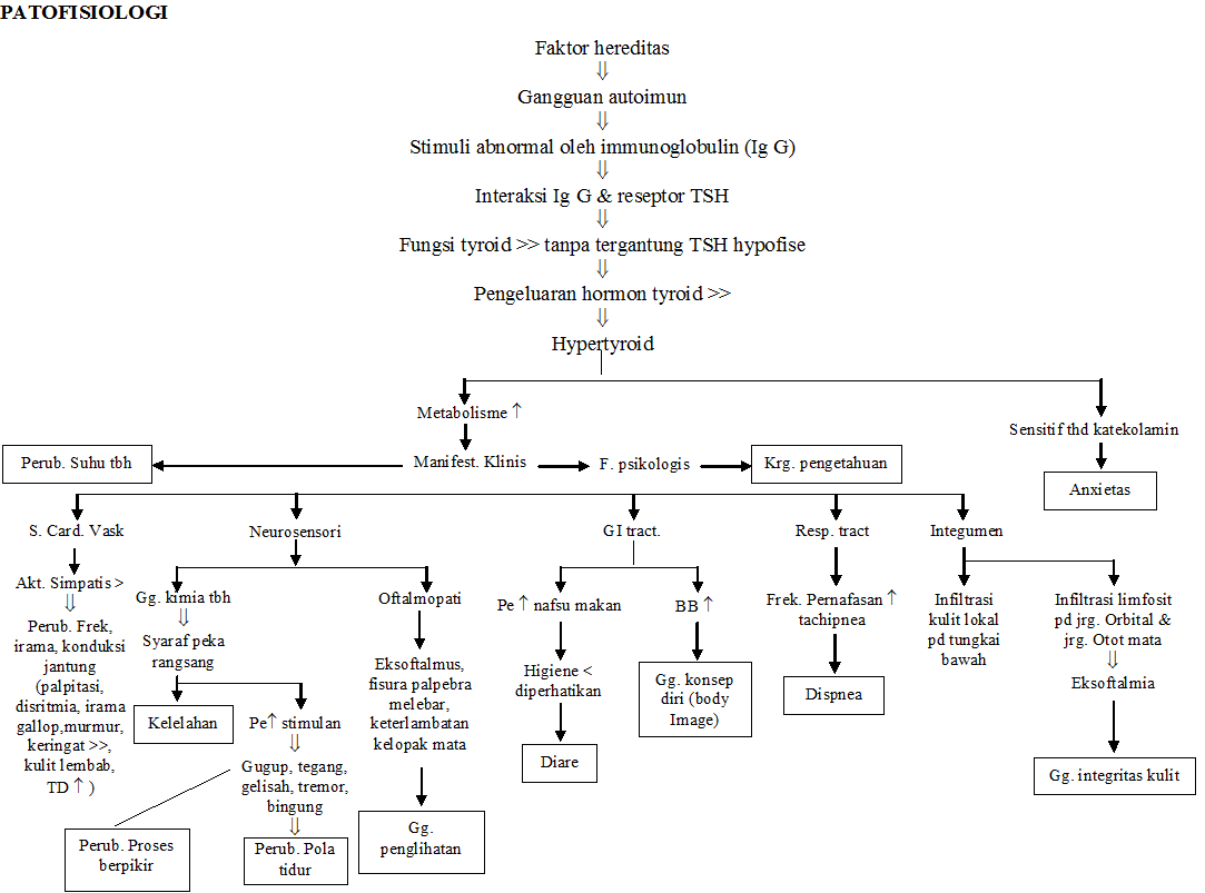 Floe's Area: ASUHAN KEPERAWATAN HIPERTIROIDISME